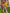 Glory Co-Ord Sets – Wajood e Zan